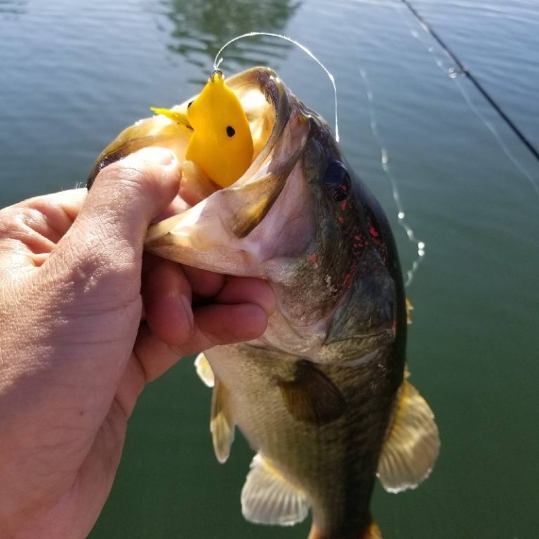Lindy Lures Website: Premium Fishing Lures for Every Angler