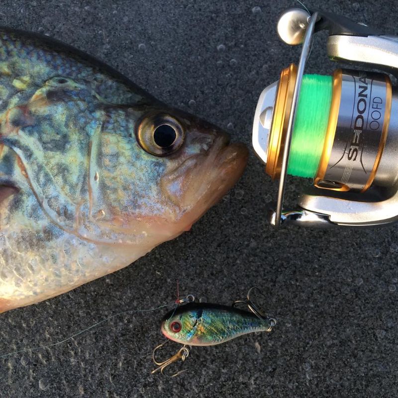 Lindy Lures Website: Premium Fishing Lures for Every Angler